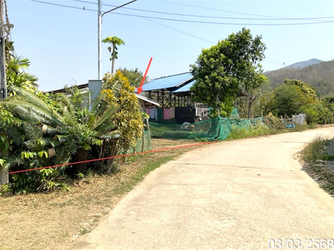 ทรัพย์สถาบันโดย KASIKORNBANK บ้านเดี่ยว ซอย8 บ้านป่าบง ถนนสายเทิ...